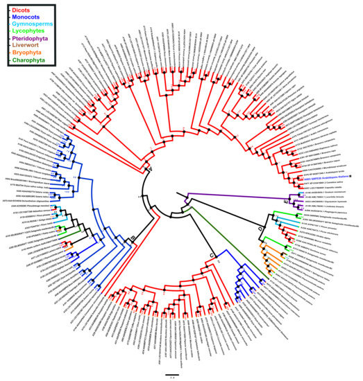 An Ancestry Perspective of the Evolution of PBS1 Proteins in Plants