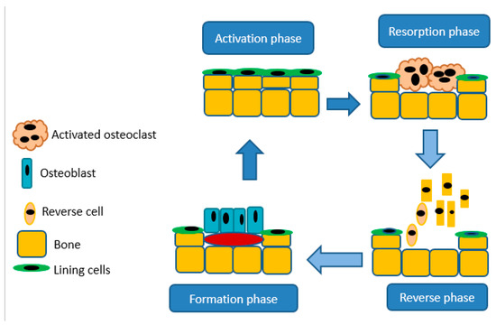 Bisphosphonate-Based Conjugates and Derivatives as Potential ...