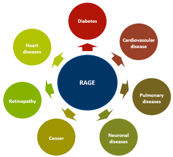 Molecular Characteristics of RAGE and Advances in Small-Molecule Inhibitors