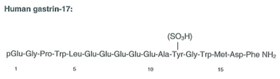 Gastrin and the Moderate Hypergastrinemias