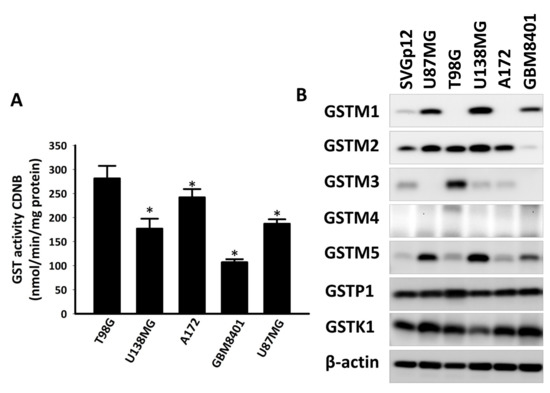 Glutathione S-Transferase M3 Is Associated with Glycolysis in Intrinsic ...
