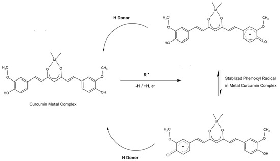 Metal–Curcumin Complexes in Therapeutics: An Approach to Enhance ...