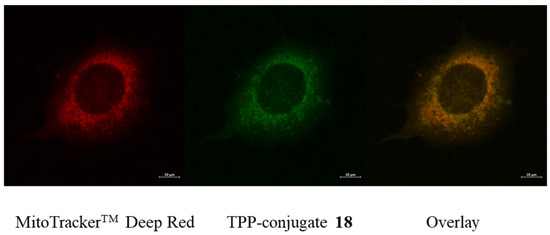 IJMS | Free Full-Text | Access to New Cytotoxic Triterpene and ...