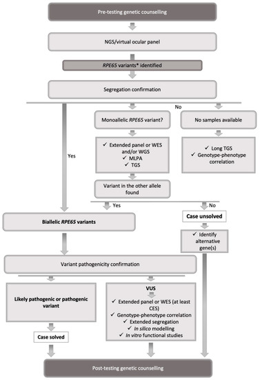 Inherited Retinal Diseases Due to RPE65 Variants: From Genetic ...