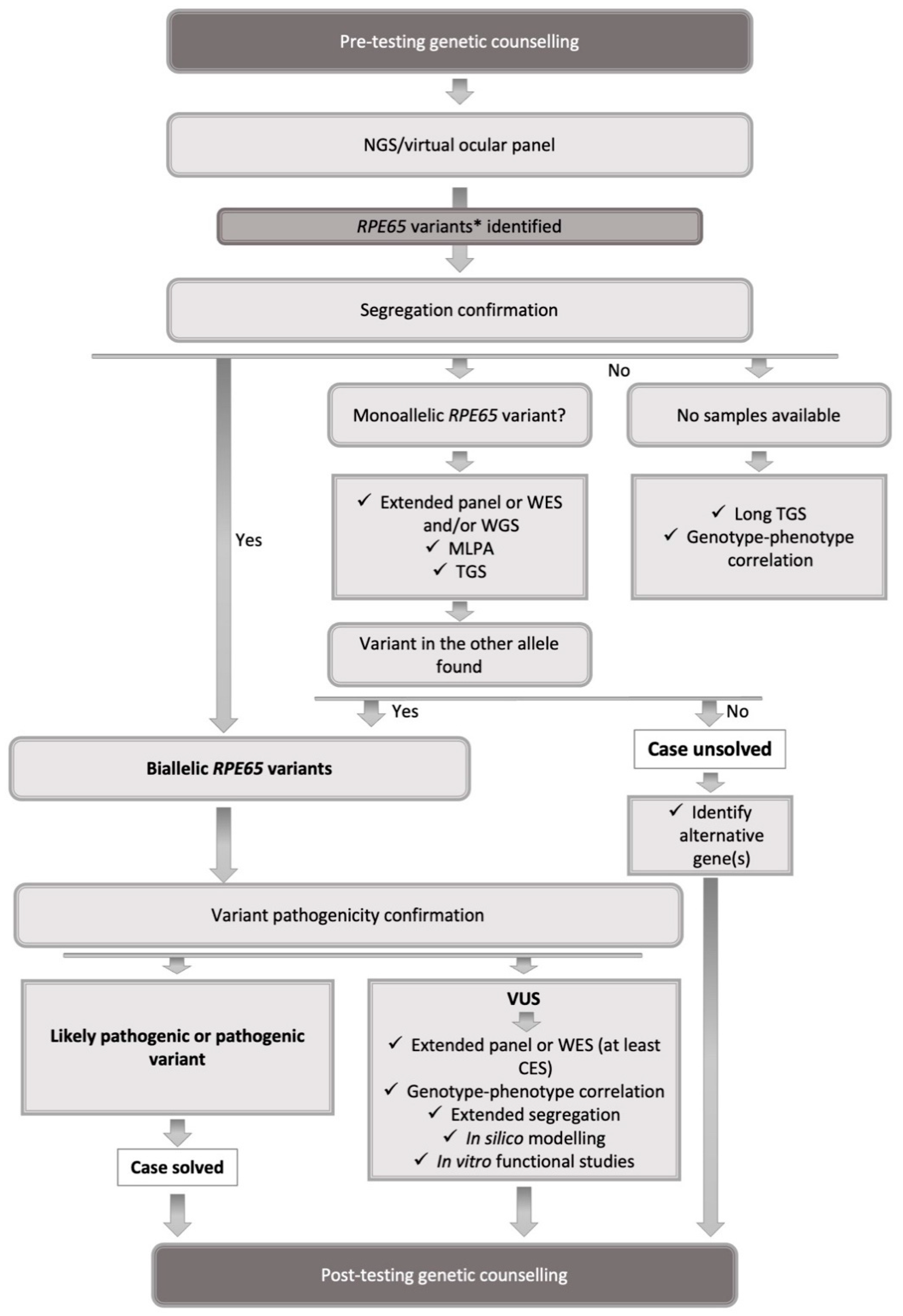 Ijms Free Full Text Inherited Retinal Diseases Due To Rpe65