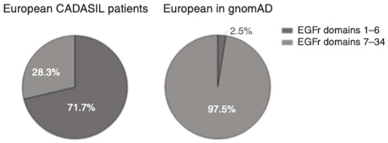 Contribution of “Omic” Studies to the Understanding of Cadasil. A ...