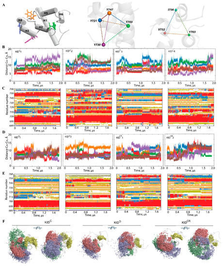 Folding and Intrinsic Disorder of the Receptor Tyrosine Kinase KIT ...