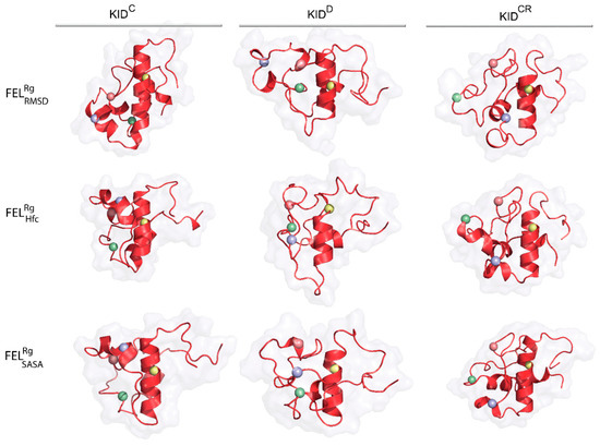 Folding and Intrinsic Disorder of the Receptor Tyrosine Kinase KIT ...