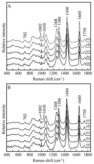 Raman Study on Lipid Droplets in Hepatic Cells Co-Cultured with Fatty Acids