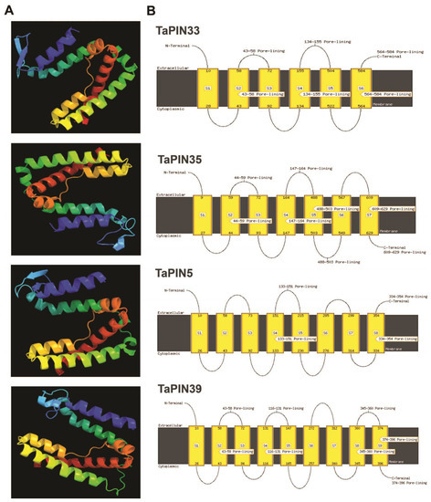 Genome-Wide Identification and Characterization of PIN-FORMED (PIN ...