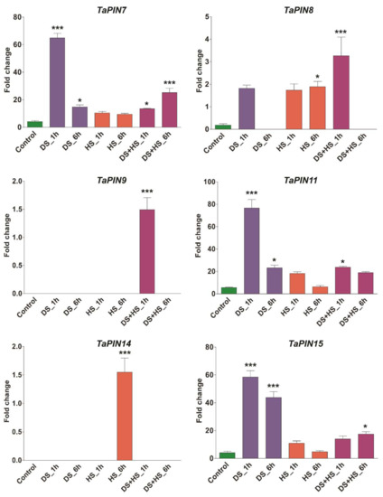 Genome-Wide Identification and Characterization of PIN-FORMED (PIN ...