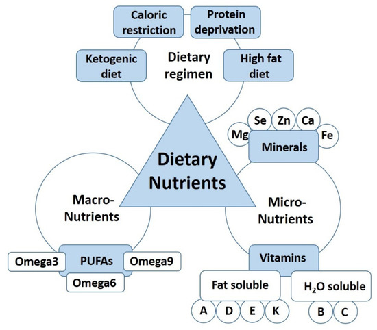 The Role of Dietary Nutrients in Peripheral Nerve Regeneration