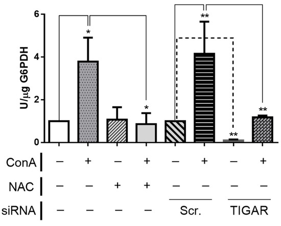 TP53-Induced Glycolysis and Apoptosis Regulator (TIGAR) Is Upregulated ...