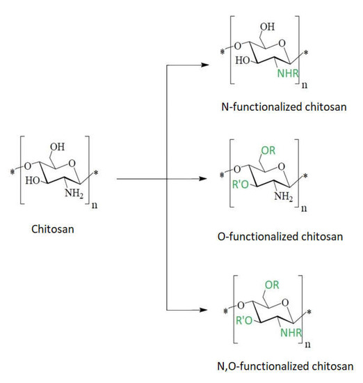 Factors Influencing the Antibacterial Activity of Chitosan and Chitosan ...
