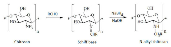Factors Influencing the Antibacterial Activity of Chitosan and Chitosan ...