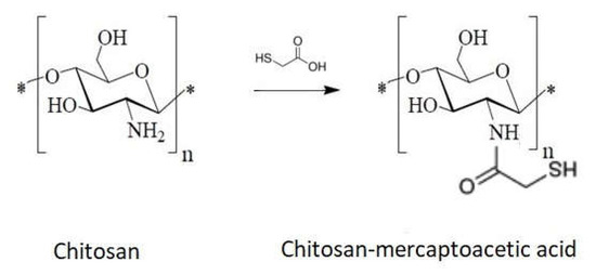 Factors Influencing the Antibacterial Activity of Chitosan and Chitosan ...