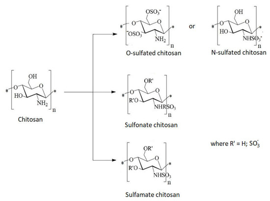 Factors Influencing the Antibacterial Activity of Chitosan and Chitosan ...