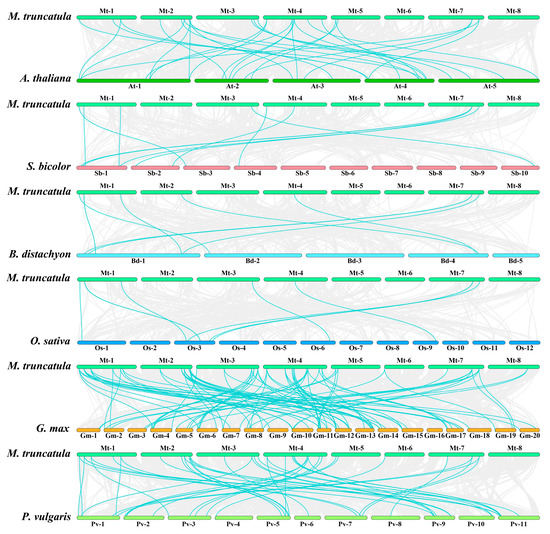 Genome-Wide Identification and Analysis of the Polycomb Group Family in ...