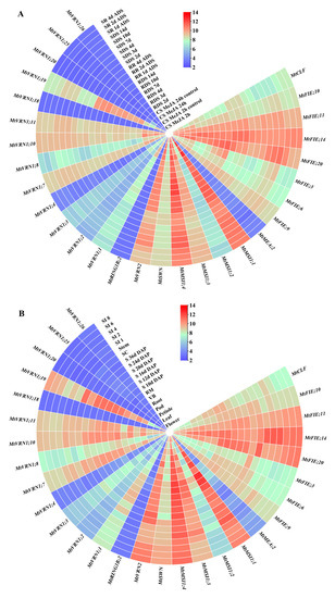 Genome-Wide Identification and Analysis of the Polycomb Group Family in ...