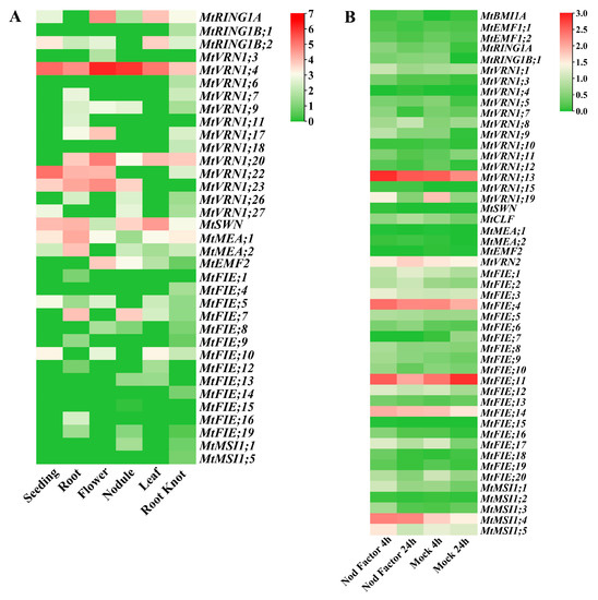 Genome-Wide Identification and Analysis of the Polycomb Group Family in ...
