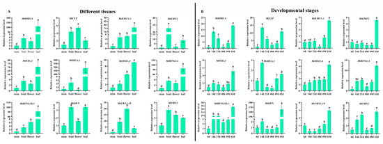 Genome-Wide Identification and Analysis of the Polycomb Group Family in ...