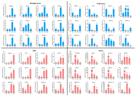 Genome-Wide Identification and Analysis of the Polycomb Group Family in ...