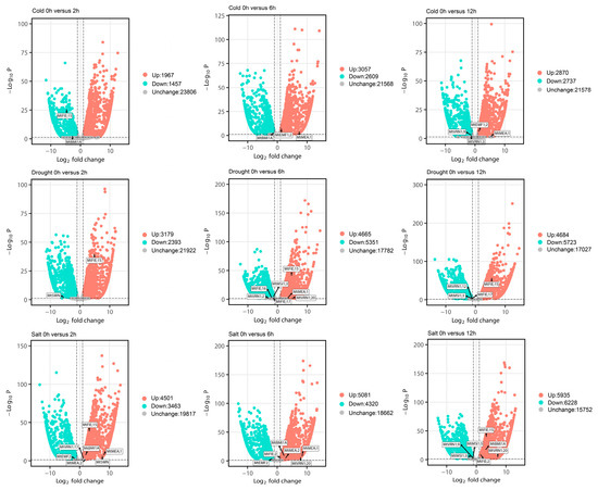 Genome-Wide Identification and Analysis of the Polycomb Group Family in ...