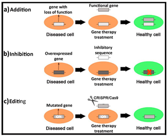 How Far Are Non-Viral Vectors to Come of Age and Reach Clinical ...