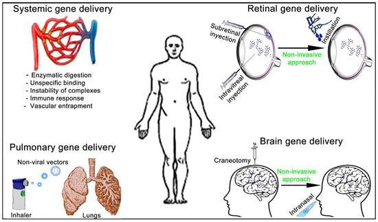 How Far Are Non-Viral Vectors to Come of Age and Reach Clinical ...