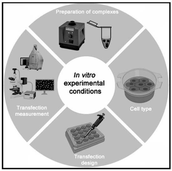 How Far Are Non-Viral Vectors to Come of Age and Reach Clinical ...