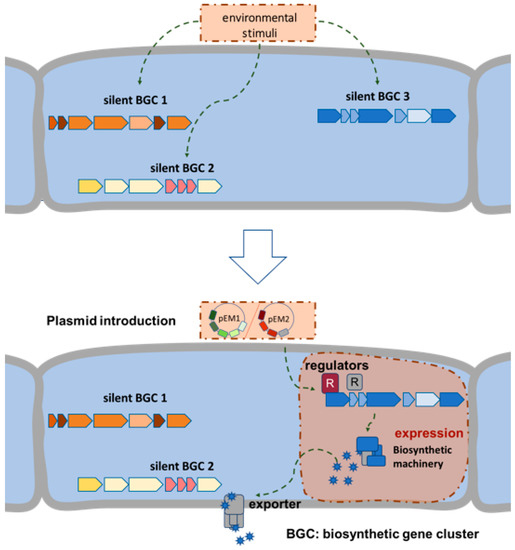 A Regulator Based “Semi-Targeted” Approach to Activate Silent ...