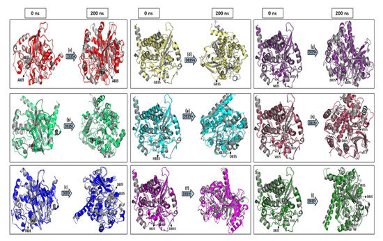 The Structural Effect of FLT3 Mutations at 835th Position and Their ...