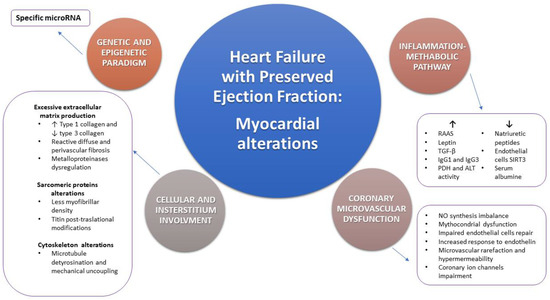 Myocardial Tissue Characterization in Heart Failure with Preserved ...