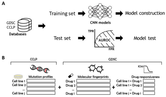 Performance Comparisons of AlexNet and GoogLeNet in Cell Growth ...