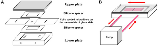 3D-Printed Collagen-Based Waveform Microfibrous Scaffold for ...