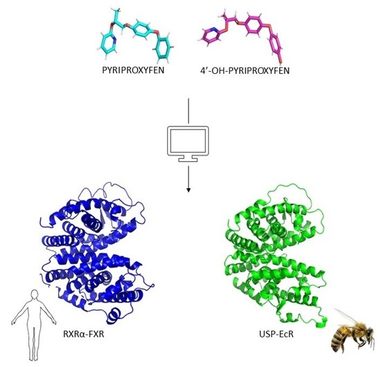 IJMS | Free Full-Text | In Silico Prediction of the Mechanism of Action ...