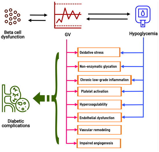 Glucose Variability: How Does It Work?