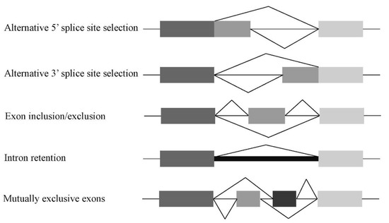 Mechanistic Insights of Aberrant Splicing with Splicing Factor ...