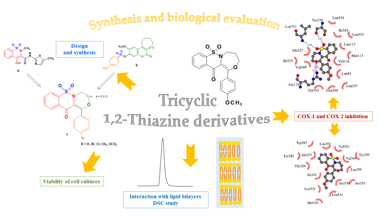 IJMS | Free Full-Text | Synthesis of New Tricyclic 1,2-Thiazine ...