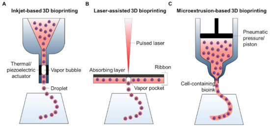 Tissue-Specific Decellularized Extracellular Matrix Bioinks for Musculoskeletal Tissue ...