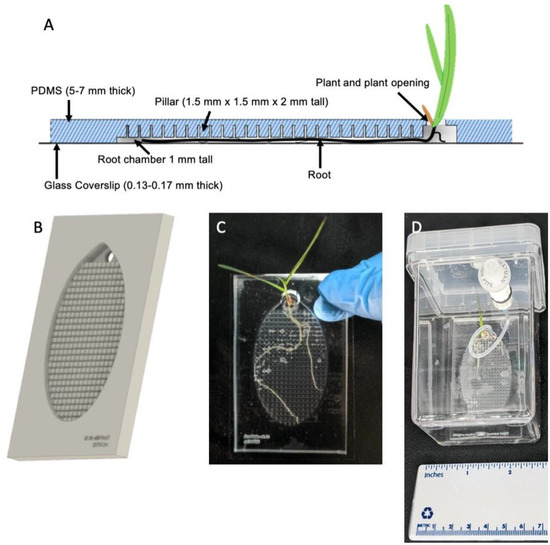 Microfabrication of a Chamber for High-Resolution, In Situ Imaging of ...