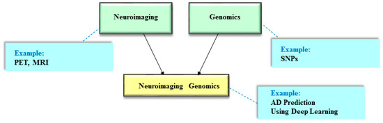 Deep Learning with Neuroimaging and Genomics in Alzheimer’s Disease