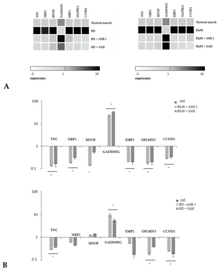 Protein Arginine Methyltransferase (PRMT) Inhibitors—AMI-1 and SAH Are ...