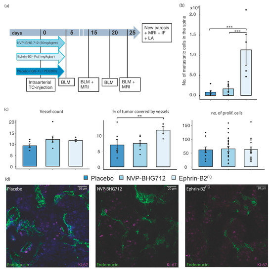Ligand-Dependent and Ligand-Independent Effects of Ephrin-B2–EphB4 ...