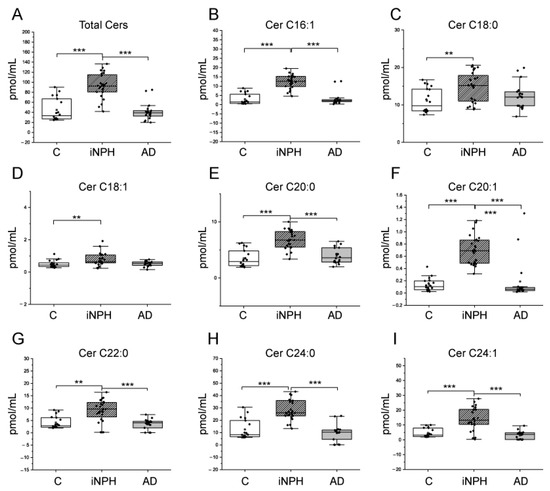 Novel Insight in Idiopathic Normal Pressure Hydrocephalus (iNPH ...