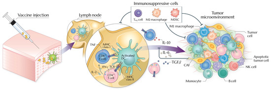 Combining Cancer Vaccines with Immunotherapy: Establishing a New ...