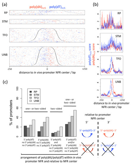 The Active Mechanism of Nucleosome Depletion by Poly(dA:dT) Tracts In Vivo