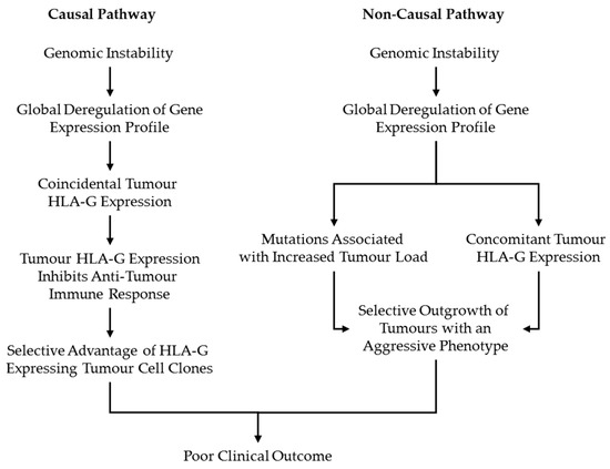 A Critical Assessment of the Association between HLA-G Expression by Carcinomas and Clinical Outcome