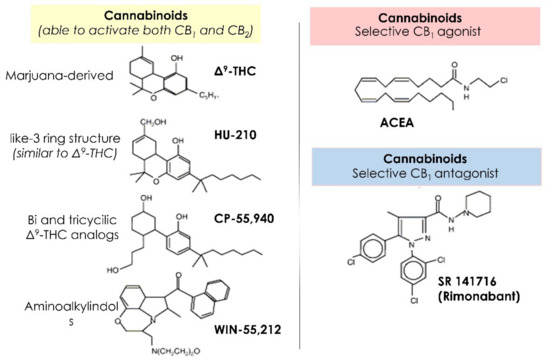 Cannabinoids Drugs and Oral Health—From Recreational Side-Effects to ...
