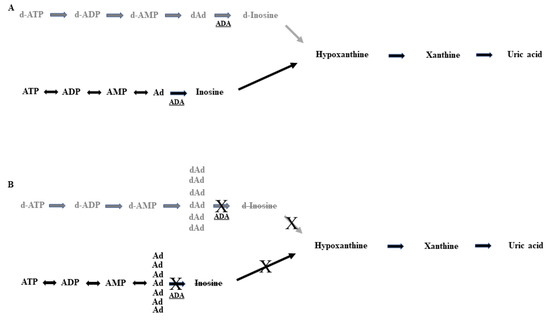 IJMS | Free Full-Text | A Novel Germline Mutation of ADA2 Gene in Two ...